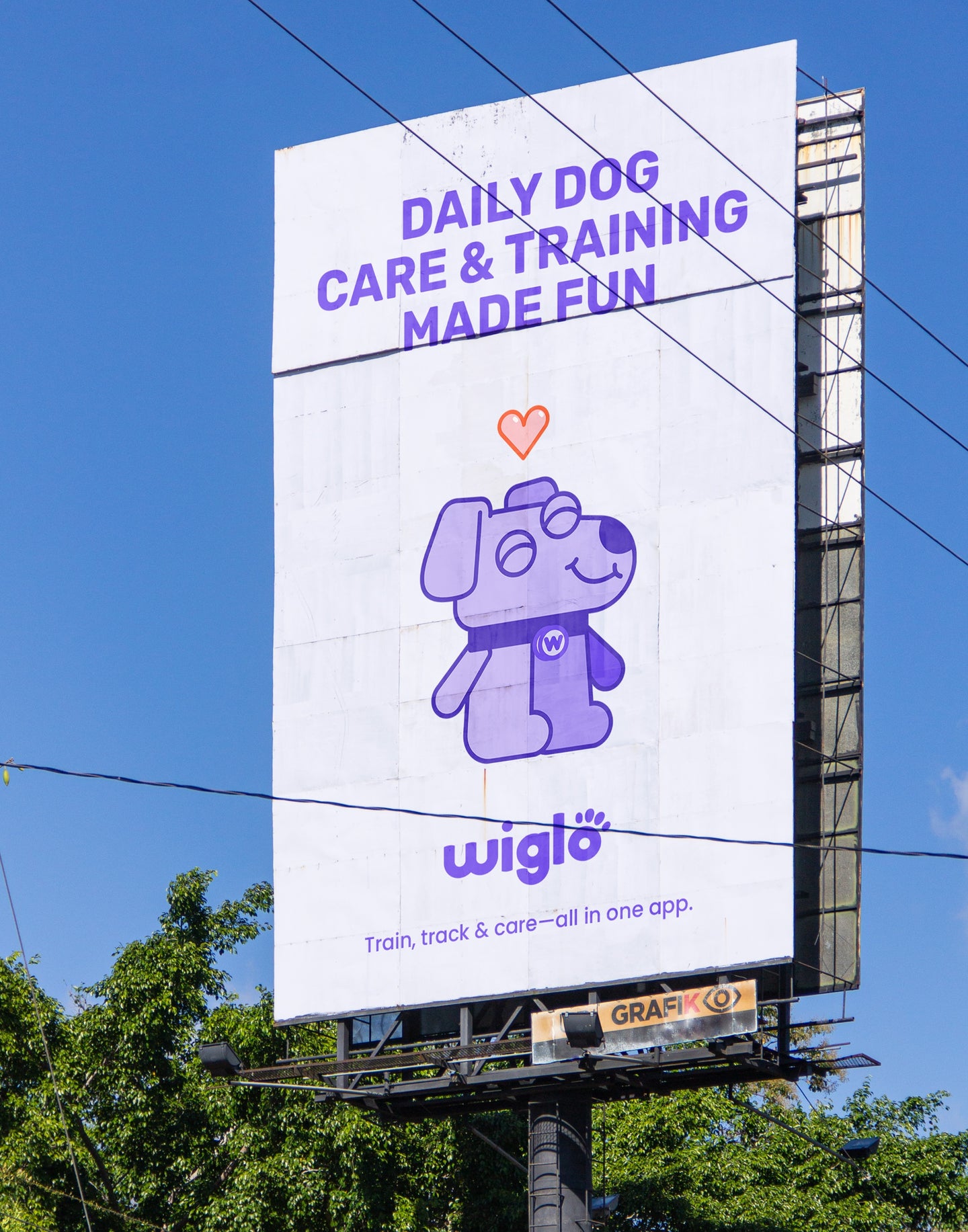 Wiglo Premium